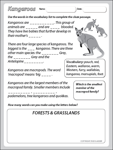 Kangaroos Classification - Studyladder Interactive Learning Games