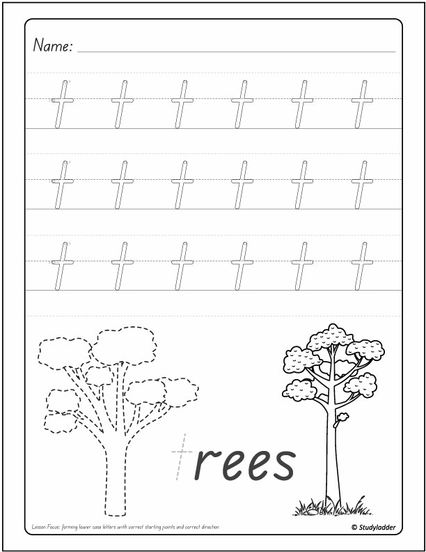 Lower Case t (Vic, WA, NT) - Studyladder Interactive Learning Games