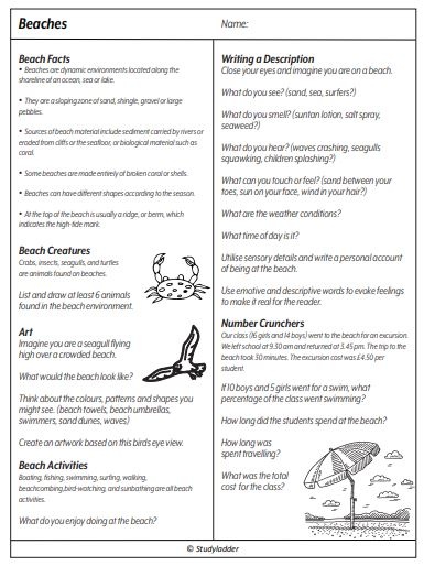 The Beach - Studyladder Interactive Learning Games