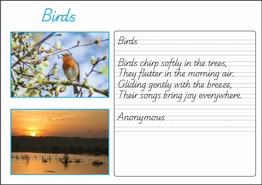 Birds - Handwriting Task - Studyladder Interactive Learning Games