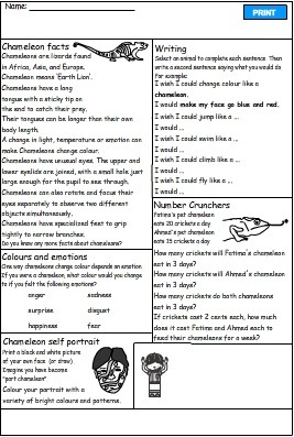 Chameleons - Studyladder Interactive Learning Games