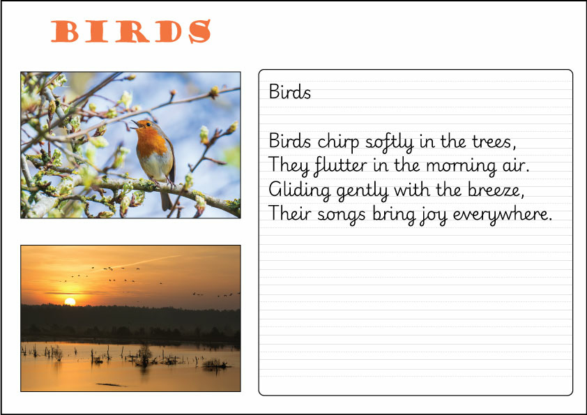 Birds - Handwriting Task - Studyladder Interactive Learning Games