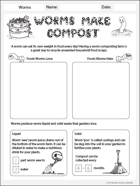 Composting With Worms - Studyladder Interactive Learning Games