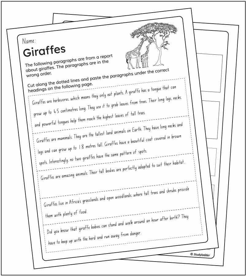 Report Scaffold (animals) - Studyladder Interactive Learning Games