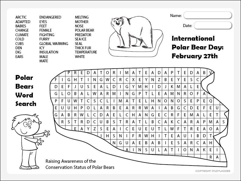 Polar Bear Word Search Studyladder Interactive Learning Games
