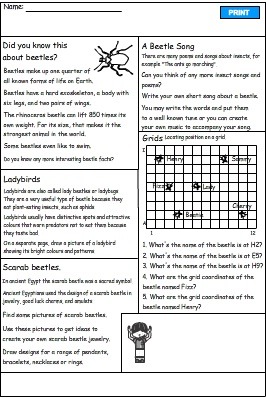 Beetles - Studyladder Interactive Learning Games
