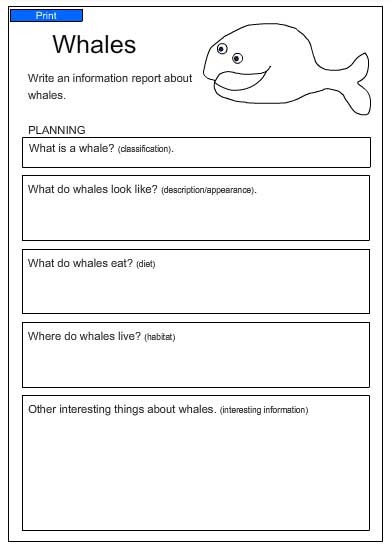 Information Report Whales Studyladder Interactive Learning Games