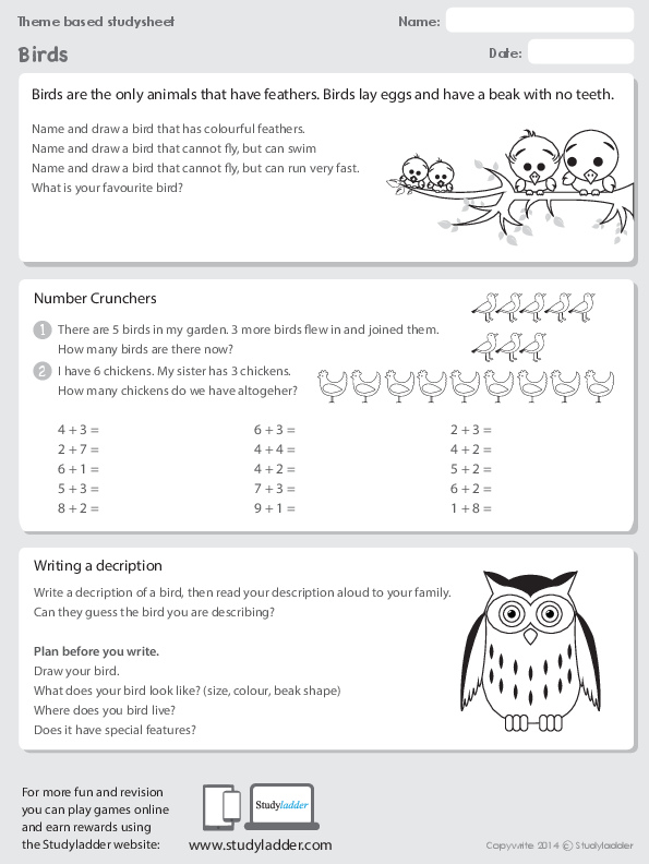 Birds - Studyladder Interactive Learning Games