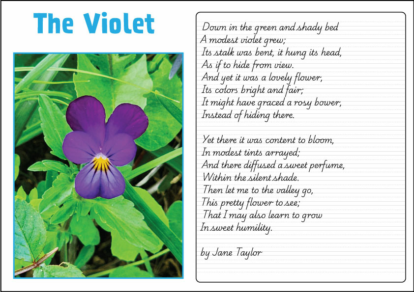 The Violet - Handwriting Task (Qld) - Studyladder Interactive Learning ...