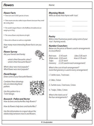 Flowers - Studyladder Interactive Learning Games