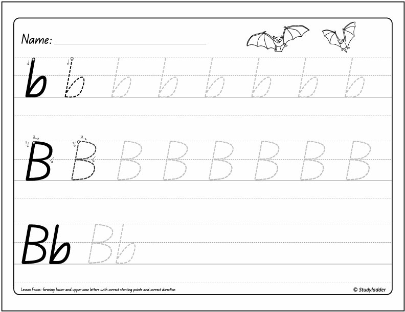 Letter Formation Bb (Qld) - Studyladder Interactive Learning Games