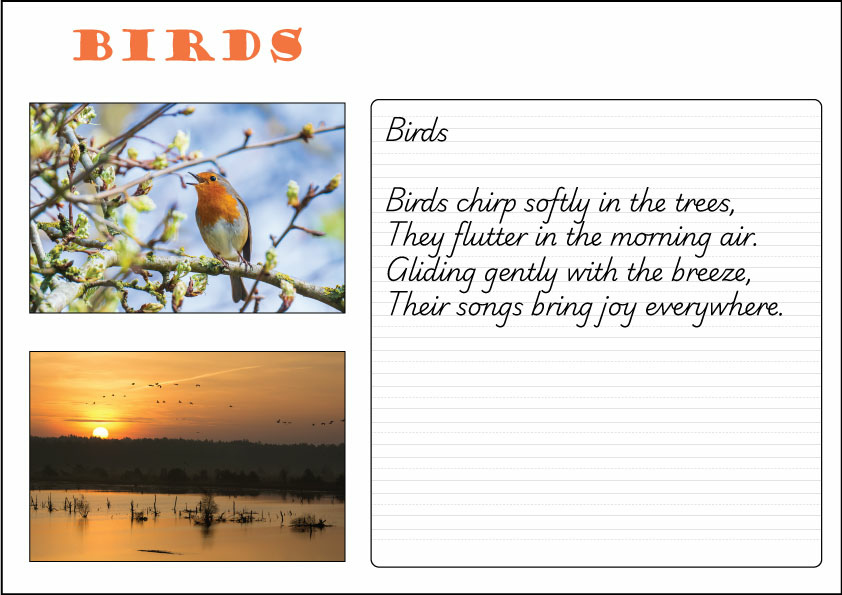 Birds - Handwriting Task (Tas) - Studyladder Interactive Learning Games