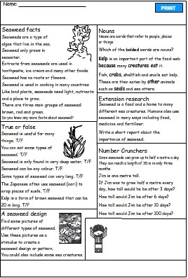 Seaweed - Studyladder Interactive Learning Games