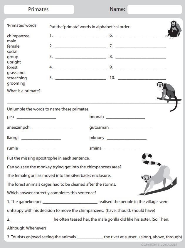 Primates - Studyladder Interactive Learning Games