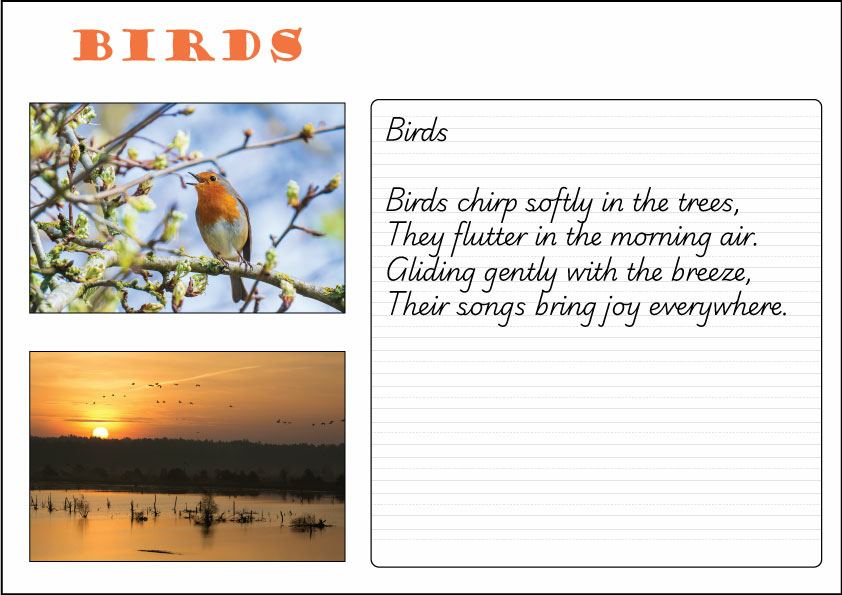 Birds - Handwriting Task (SA) - Studyladder Interactive Learning Games