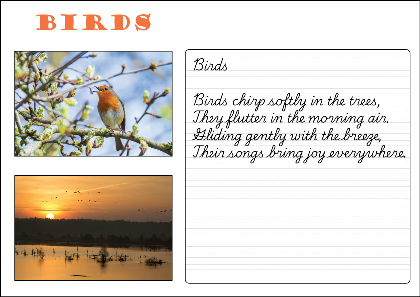 Birds - Handwriting Task - Studyladder Interactive Learning Games