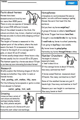 Horse Quizzes Printable