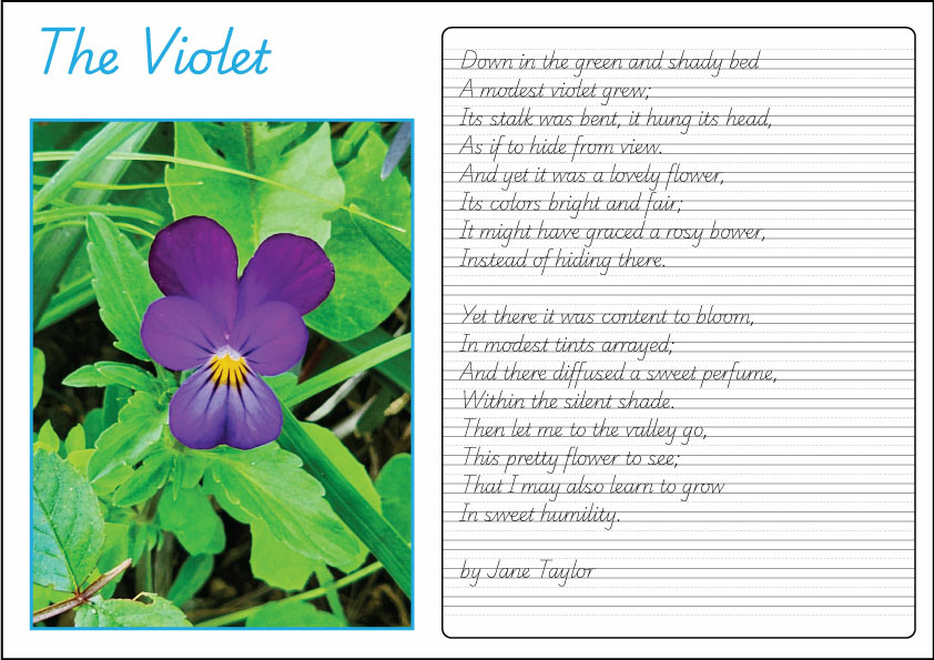 The Violet - Handwriting Task (SA) - Studyladder Interactive Learning Games