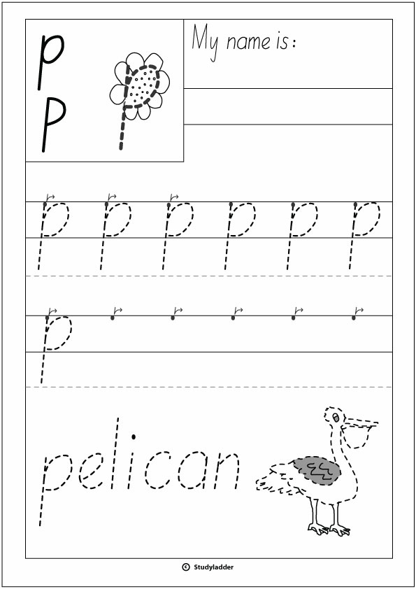 Letter P Handwriting Sheet Studyladder Interactive Learning Games Letter P Handwriting Sheet Studyladder Interactive Learning Games