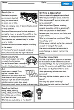 The Beach - Studyladder Interactive Learning Games