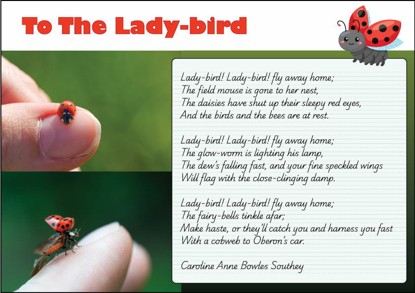 To the Lady-bird -Handwriting Task - Studyladder Interactive Learning Games