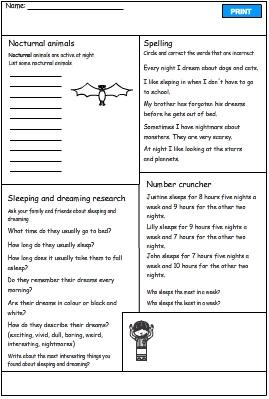 Nocturnal Animals - Studyladder Interactive Learning Games