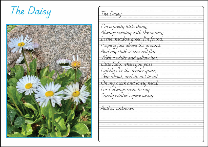 The Daisy - Handwriting Task - Studyladder Interactive Learning Games