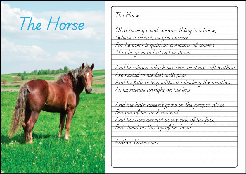 The Horse - Handwriting Task (Vic, WA, NT) - Studyladder Interactive ...