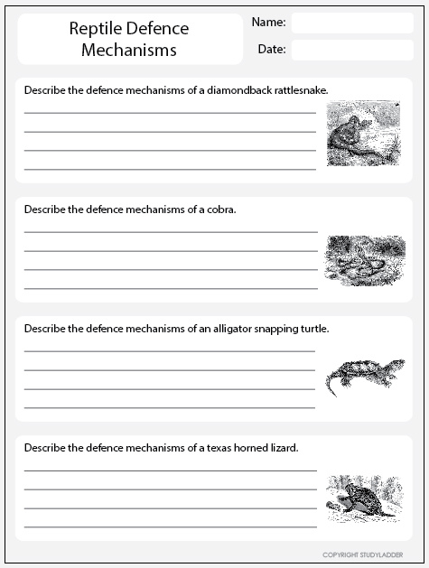 Reptile Defence Mechanisms Worksheet 2 - Studyladder Interactive ...