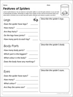 Spider Facts and Theme Based Learning for Mixed Grades