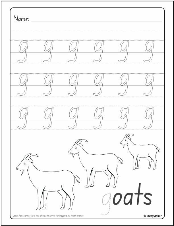 Lower Case g (NSW, ACT) - Studyladder Interactive Learning Games