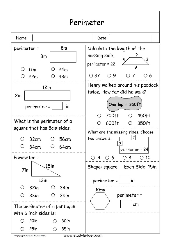  Problem Solving Area And Perimeter Fourth Grade Lesson Master Those